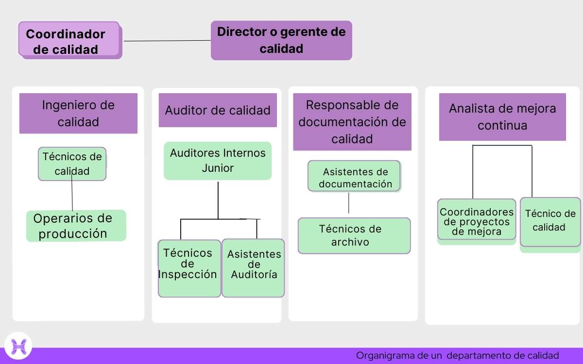 Organigrama del departamento de calidad: Asi puedes hacerlo